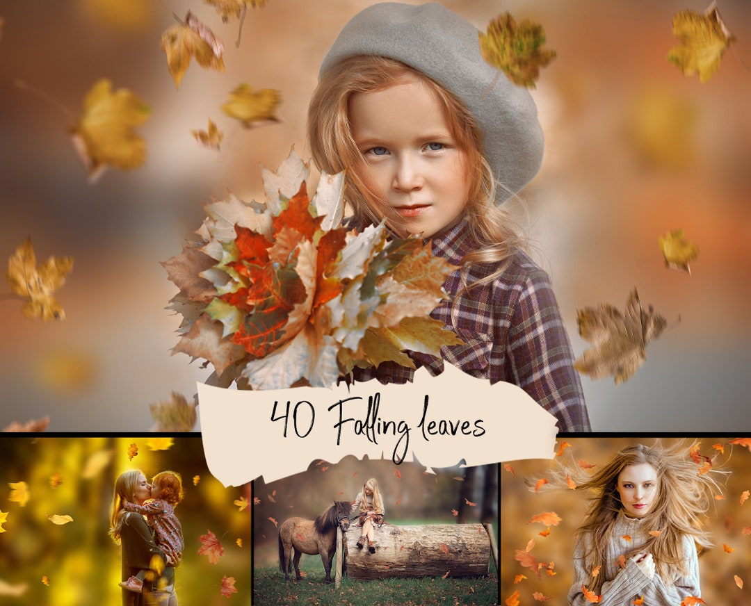 40 Autumn Leaves Overlays - Etsy
