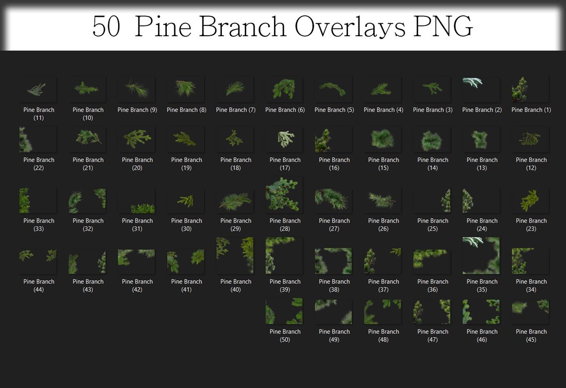 50 Pine Branch Overlays, Leaves and Branches Photoshop Overlays PNG - Etsy