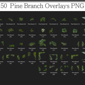 50 Pine Branch Overlays, Leaves and Branches Photoshop Overlays PNG - Etsy
