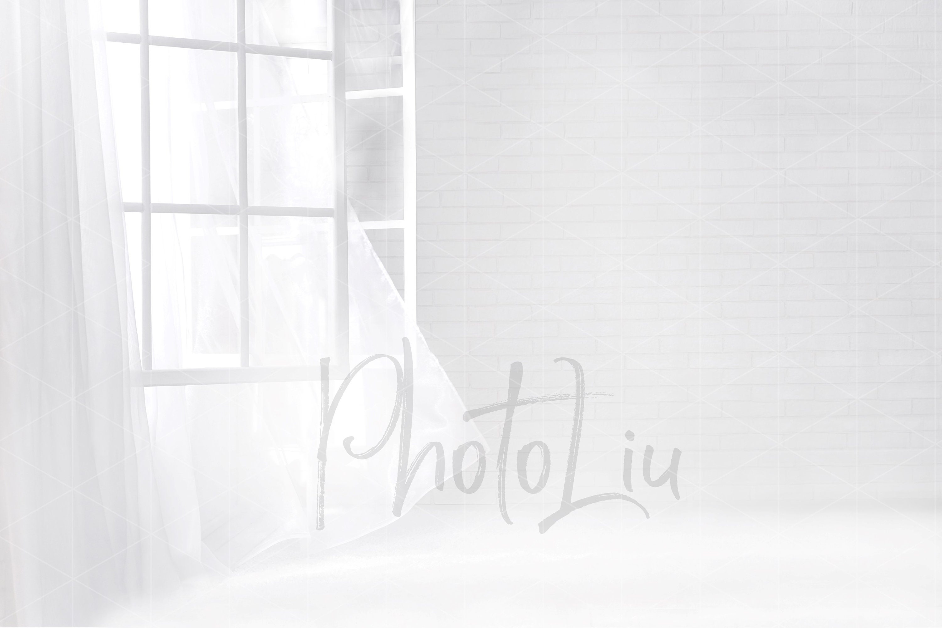 1 Backlit Window Digital Backdrop Maternity Photography | Etsy