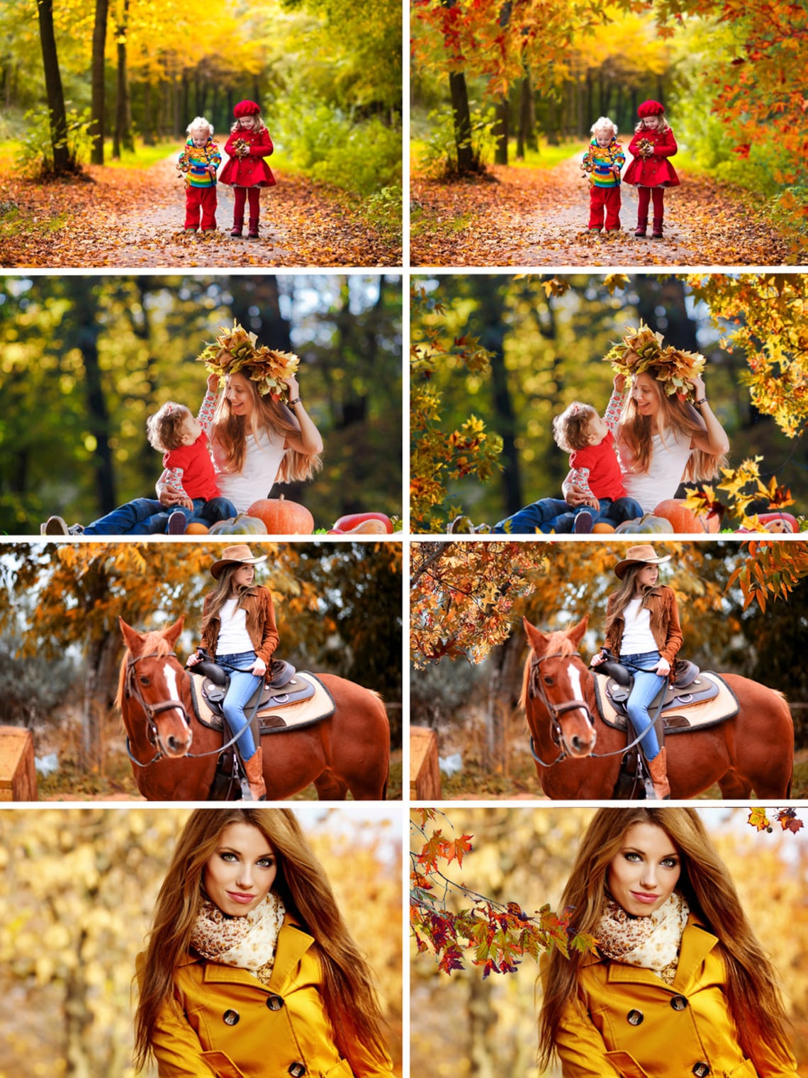 50 Autumn Tree Branch and Leaves Overlays - Etsy