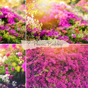 7 Flowers Backdrops, High Quality Digital Background - Etsy