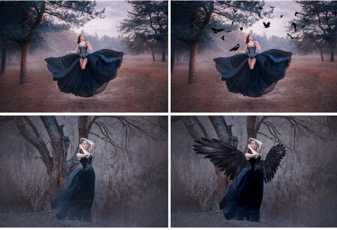 40 Realistic Raven Photo Overlays: Halloween PNG Images (digital ...