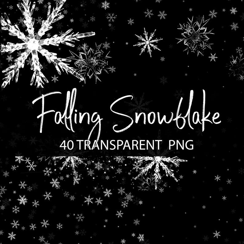 40 Falling Snowflake PNG Overlays - Transparent Winter Snowflakes ...