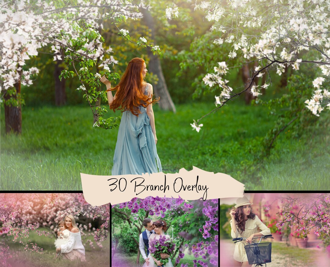 30 Blooming Spring Branch Overlays - Etsy