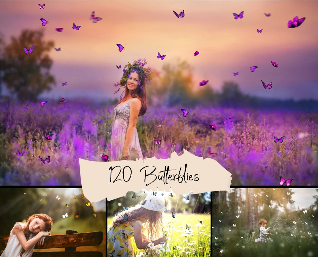 120 Butterfly Overlays - Etsy