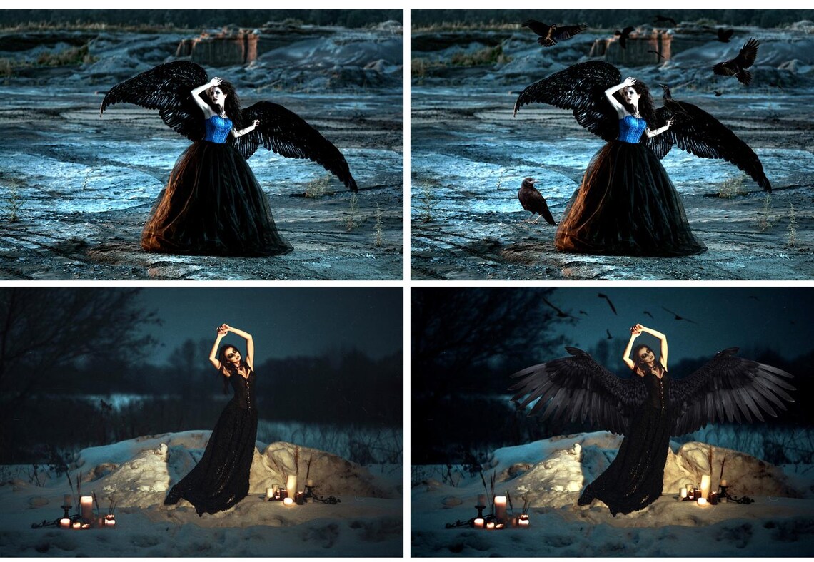 40 Realistic Raven Photo Overlays: Halloween PNG Images (digital ...