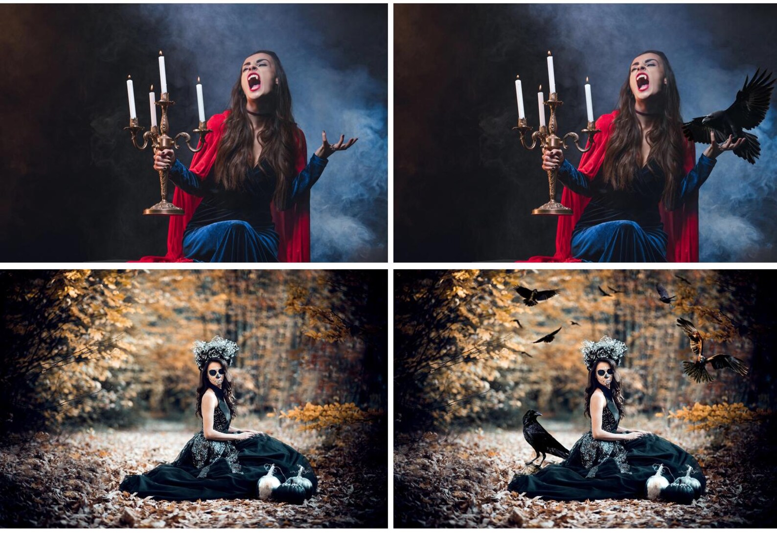 40 Realistic Raven Photo Overlays: Halloween PNG Images (digital ...