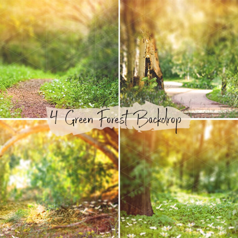 Forest Backdrop - Etsy