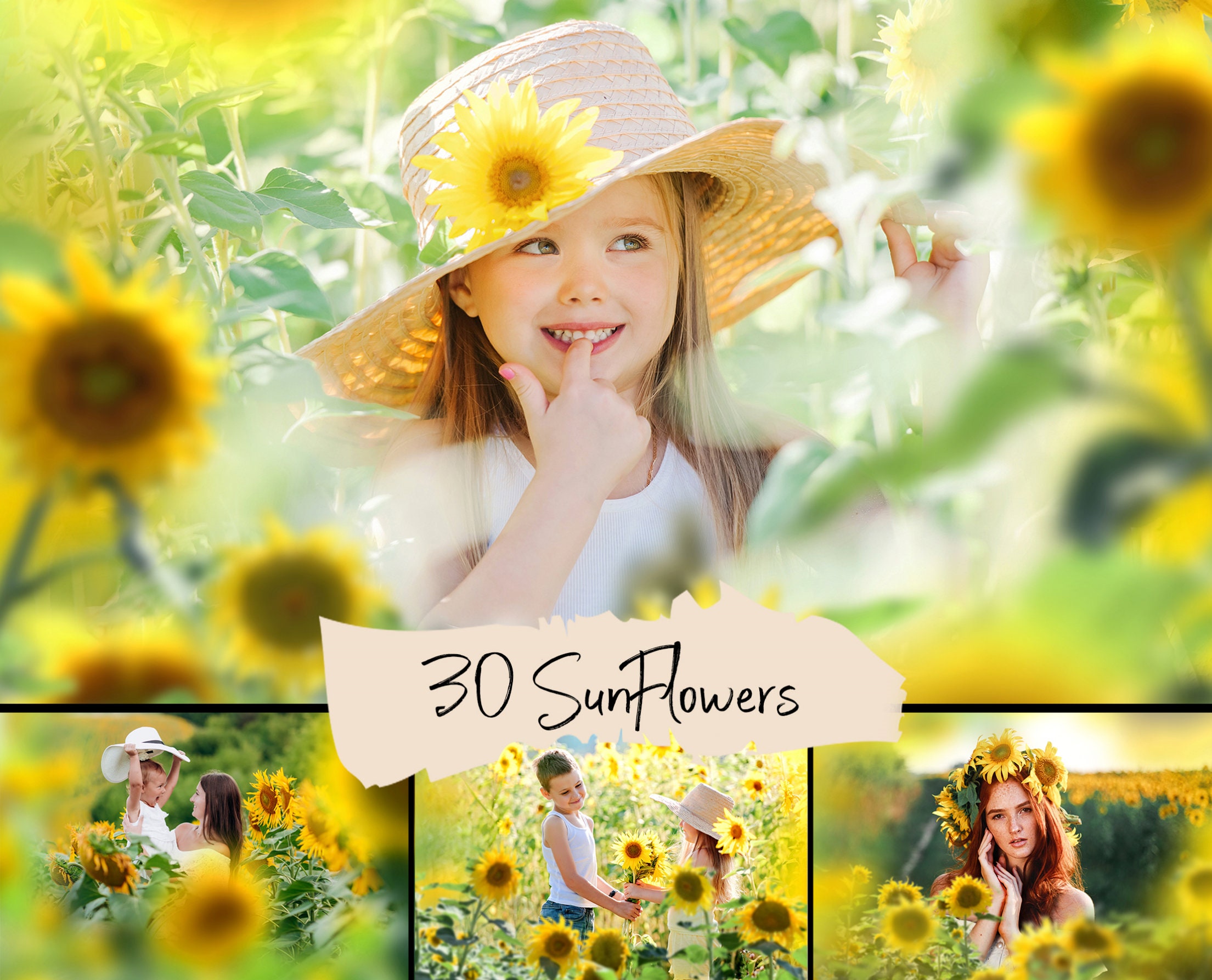 30 Sunflower Overlays