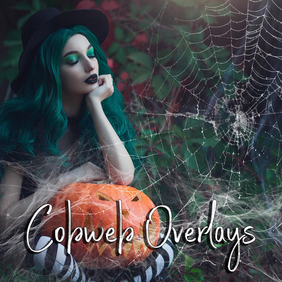 150 Cobweb Halloween Overlays, Photoshop Overlay, Spiderweb, Gossamer ...