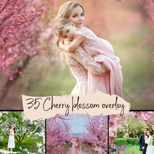 52 Painted Blossom Branches Photo Overlays Cherry Blossom - Etsy