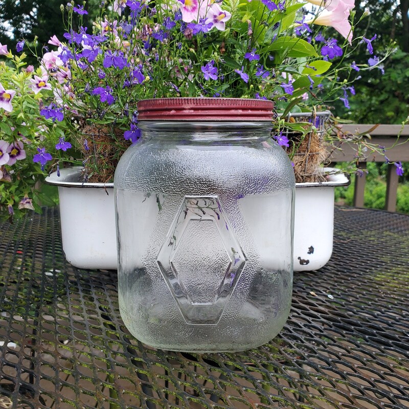 Display Jars - Etsy