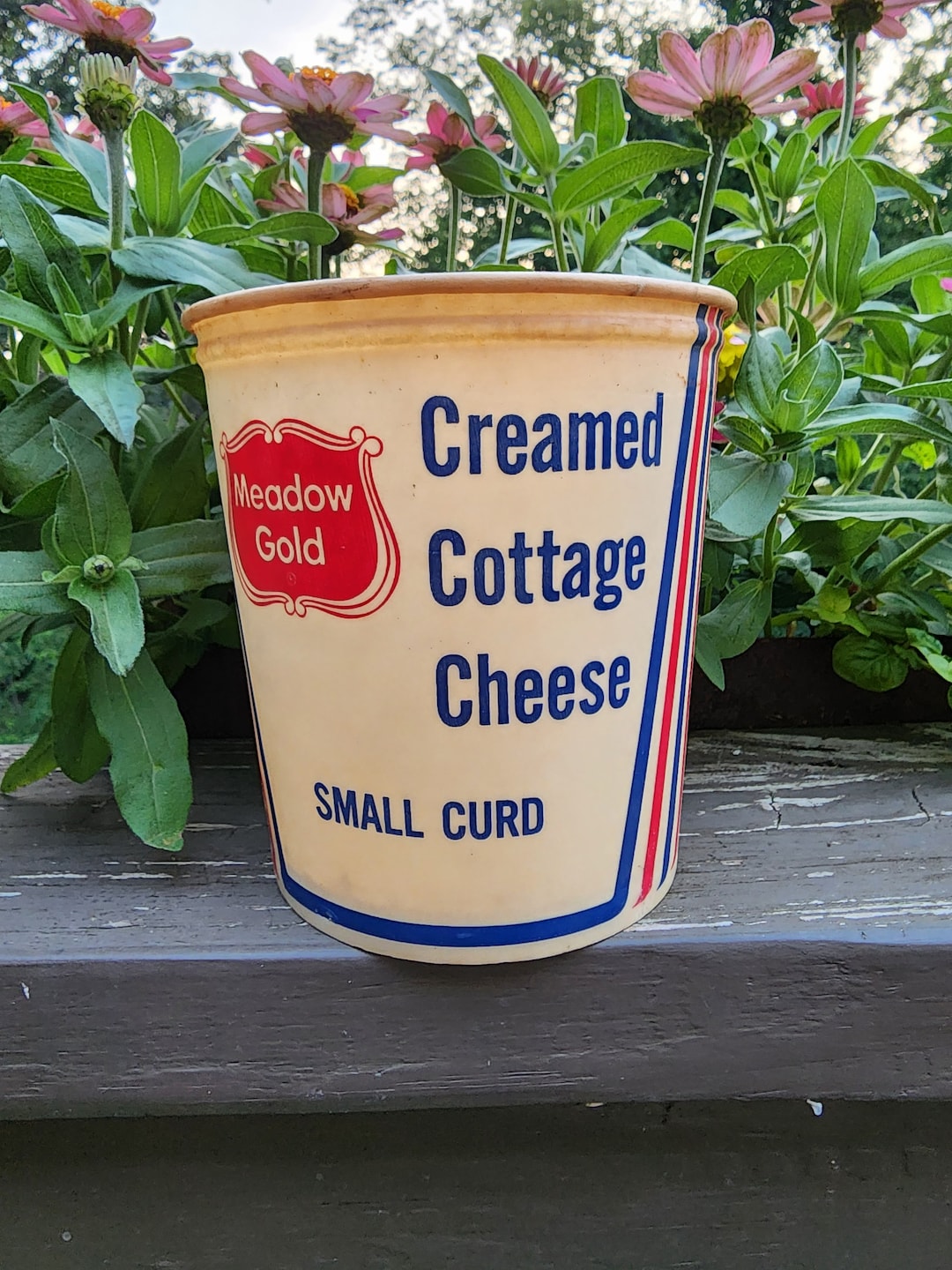 Vintage Meadow Gold Cottage Cheese Container, Small Curd, Red/white ...