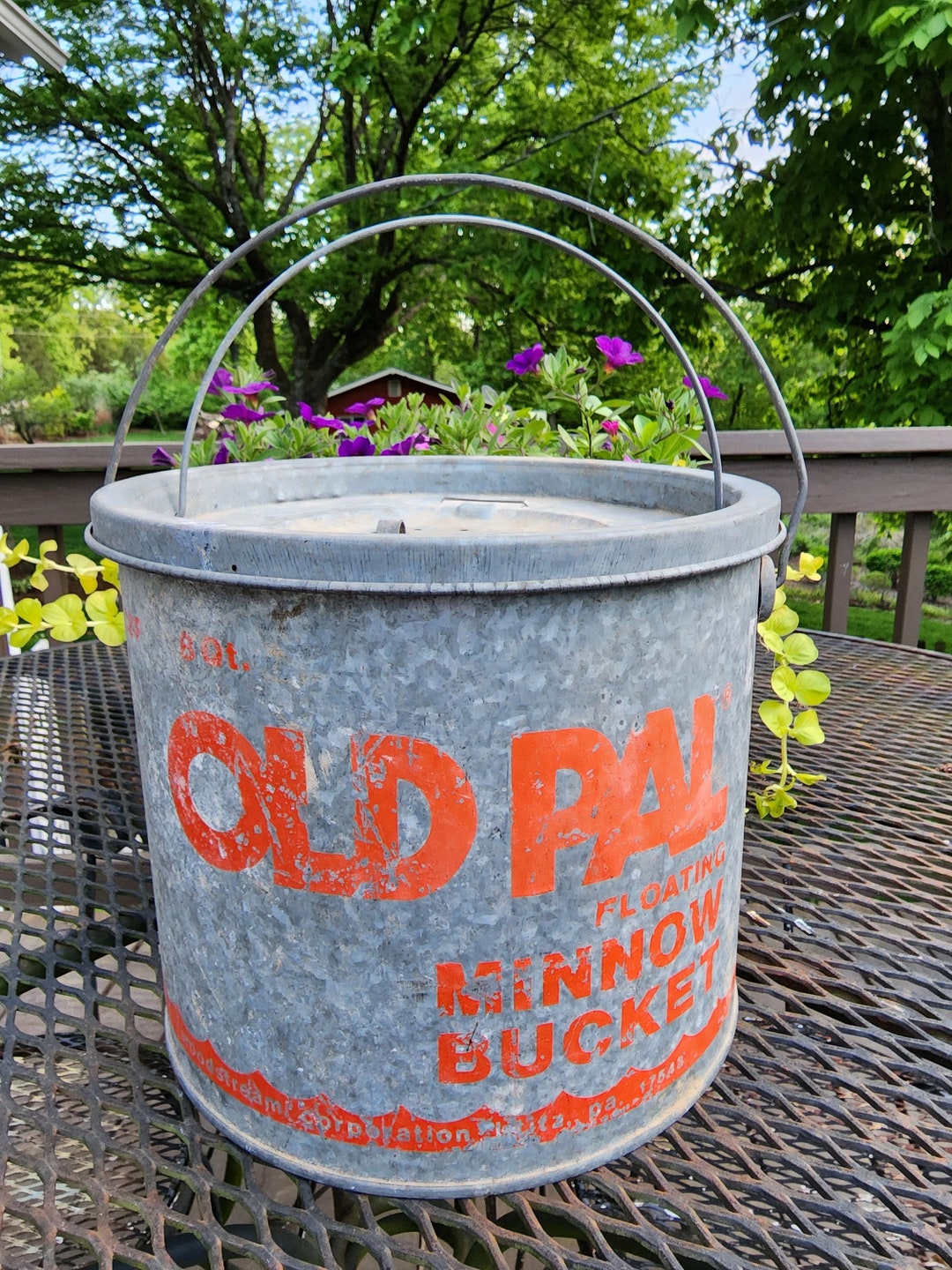 Vintage Old Pal Minnow Bucket, Woodstream Corp. PA, Lake, Fishing ...