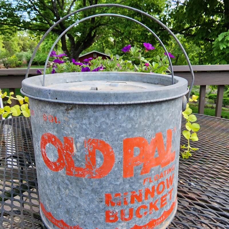 Minnow Bucket - Etsy
