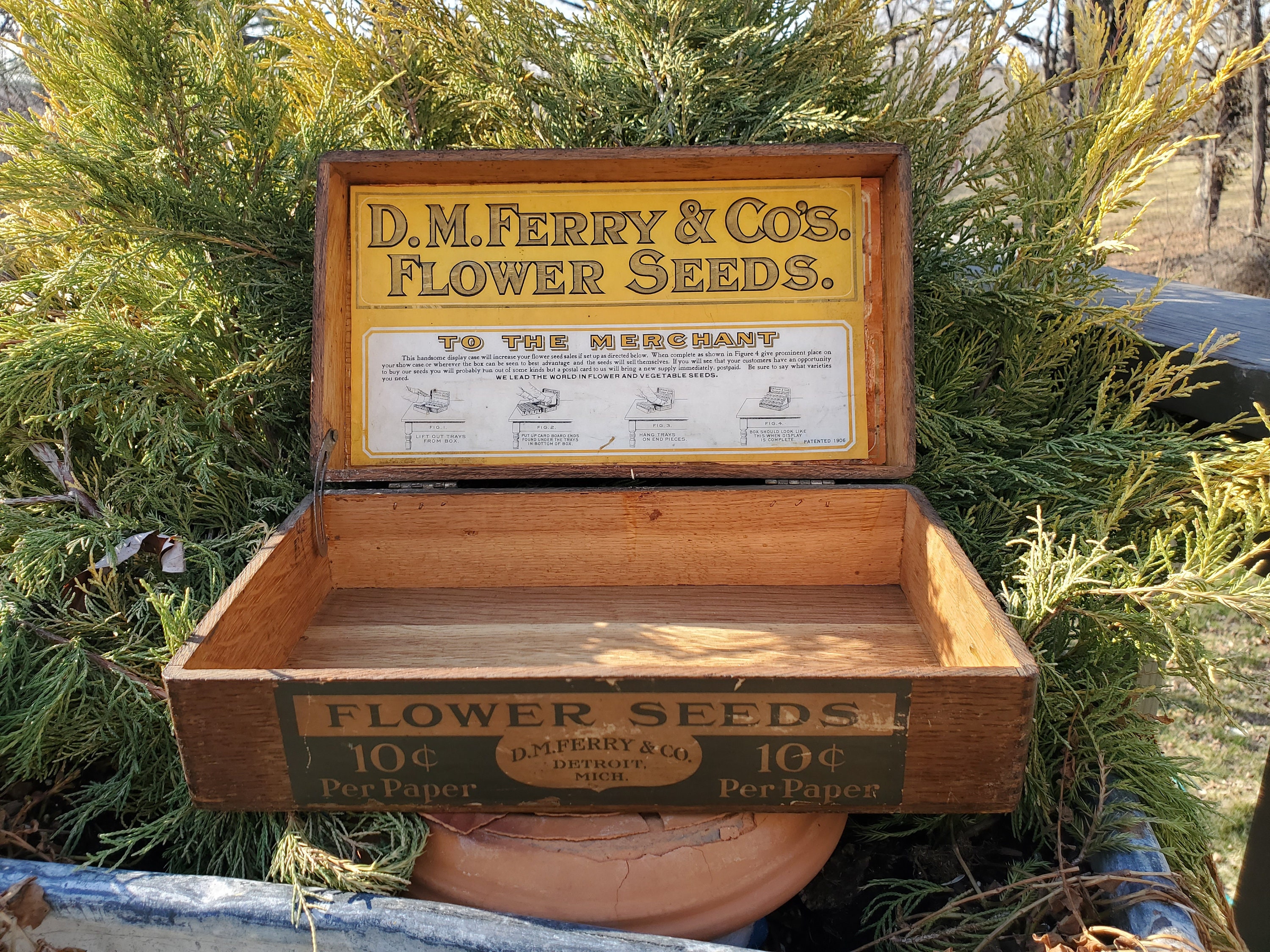 Antique Seed Display for sale | Only 2 left at -60%