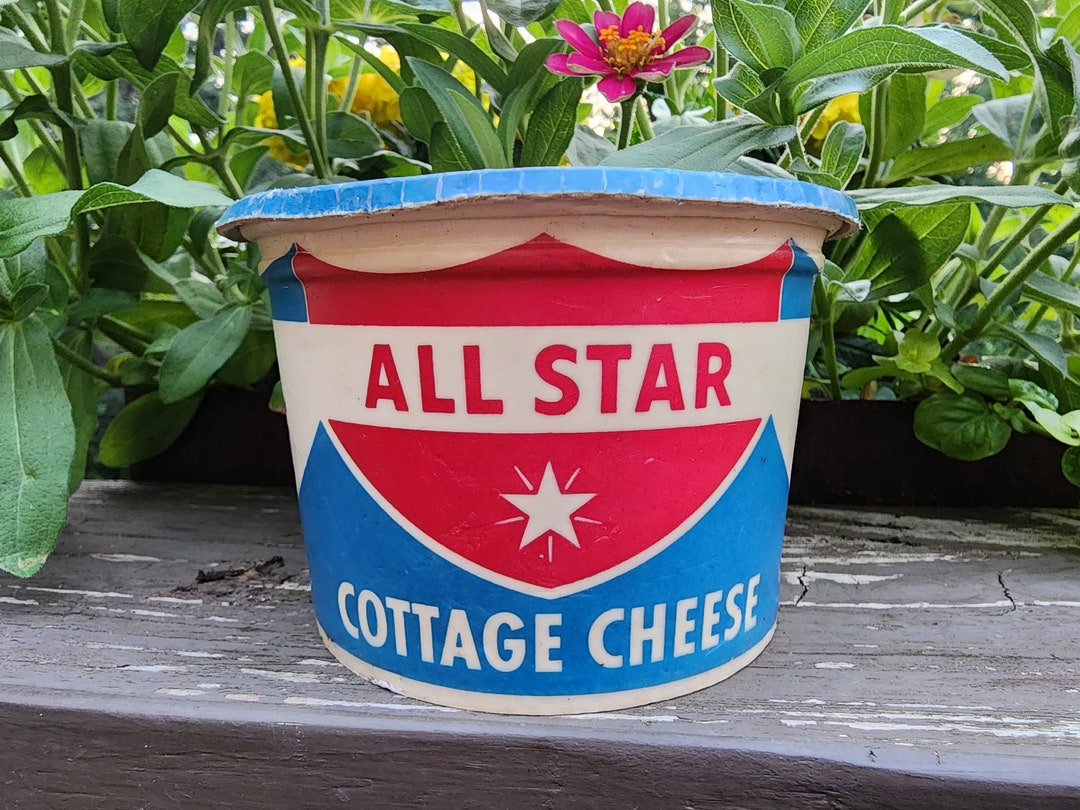 Vintage Royal Crest All Star Dairy Cottage Cheese Container, Country ...