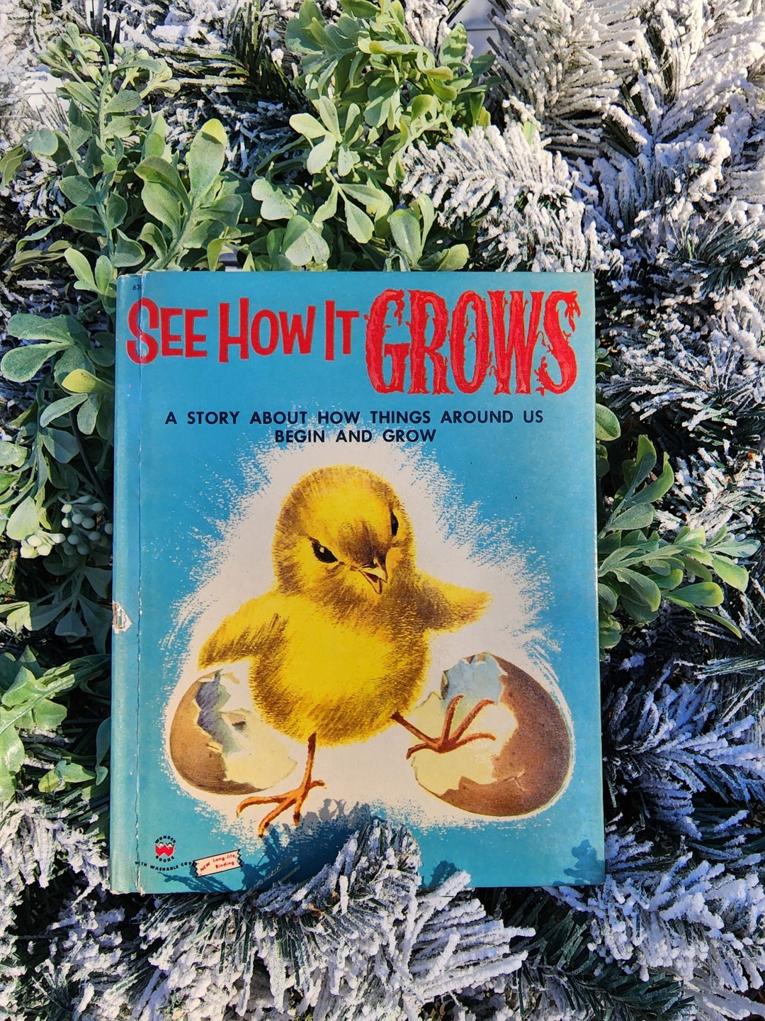 Vintage Childs "see How It Grows" Book , A Wonder Book, Spring, Easter ...