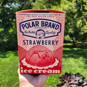 Vintage Polar Brand Ice Cream Box Container, Strawberry - Etsy