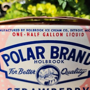 Vintage Polar Brand Ice Cream Box Container, Strawberry - Etsy