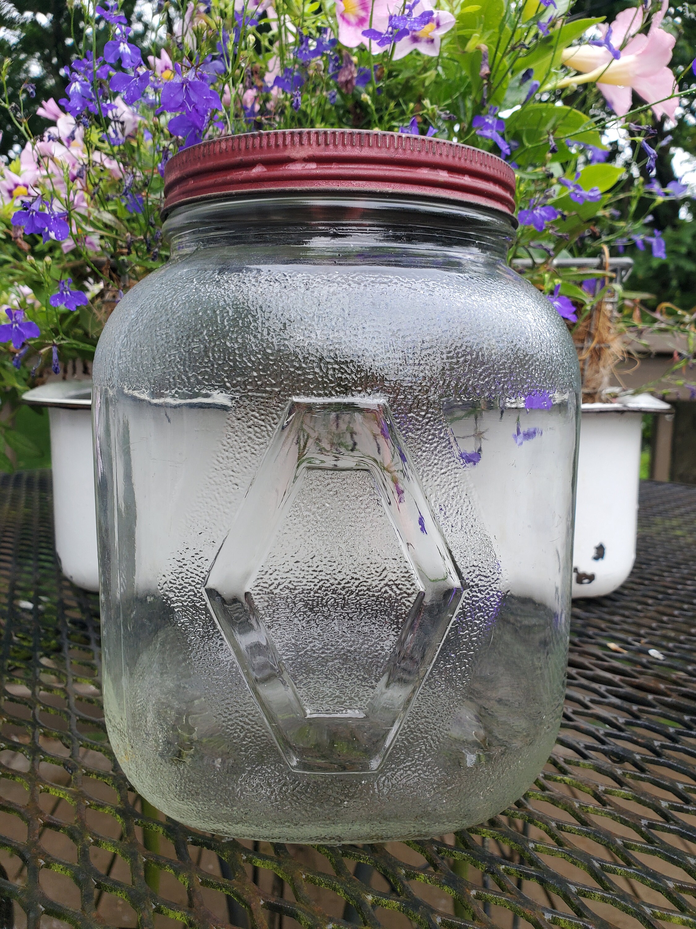 Vintage Counter Display Jar General Store Candy Nuts - Etsy
