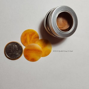 Escape the Germs! Single Use Soap Tabs: Natural Travel Cleanser ...
