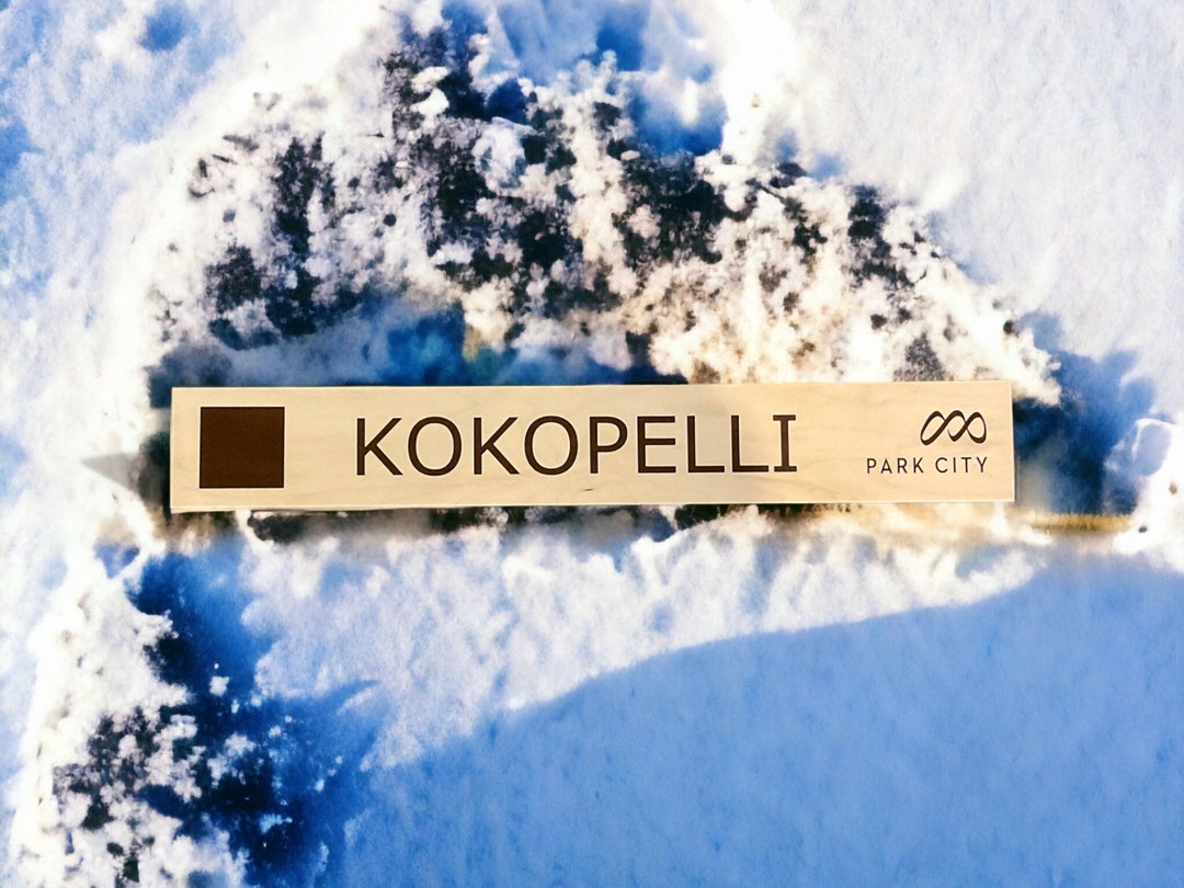 Personalized Ski Slope Sign | Custom Ski Decor | Unique Ski Family Gift ...