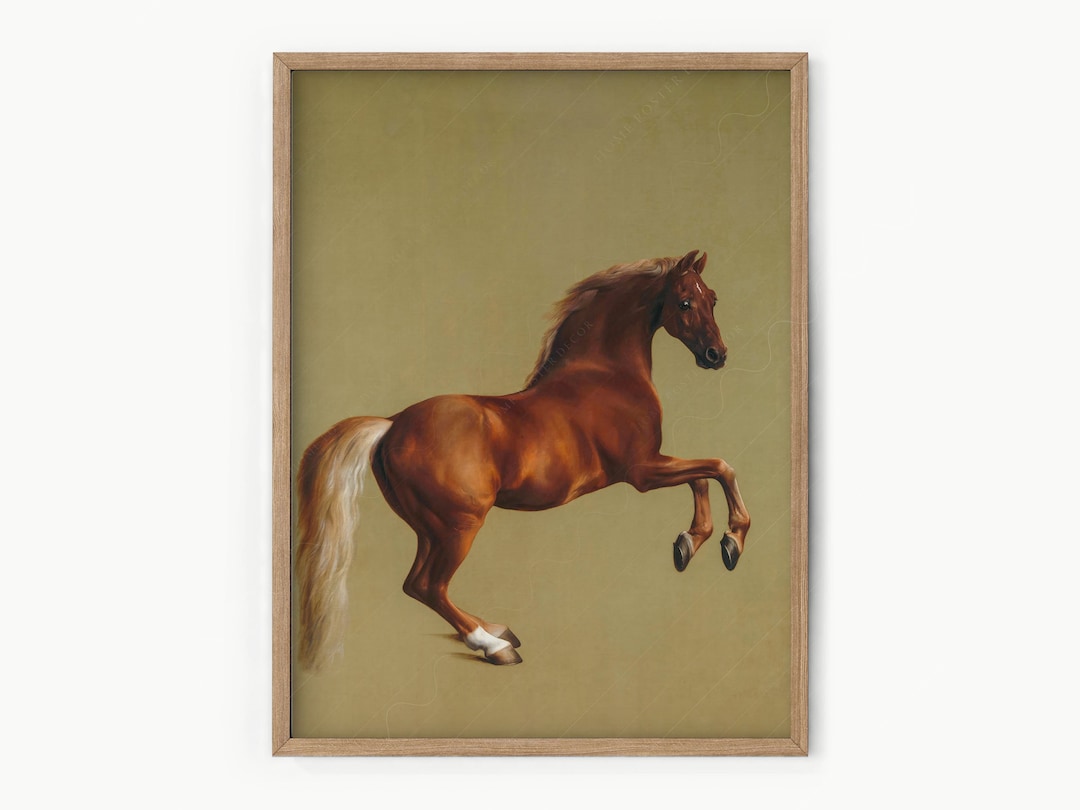 Whistlejacket by George Stubbs Portrait of a Horse Elegant Wall Art ...
