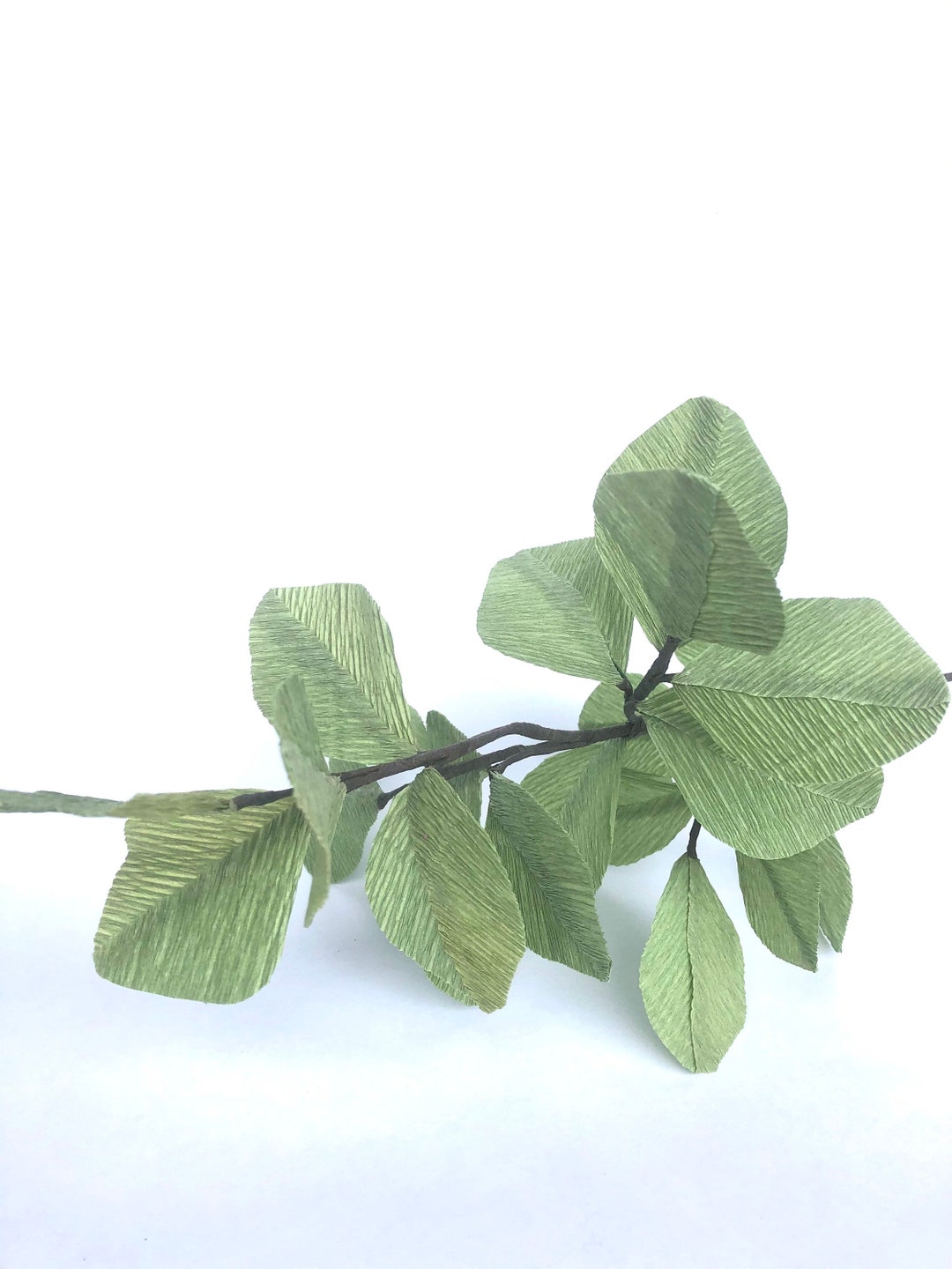 Handmade Crepe Paper Silver Dollar Eucalyptus - Etsy