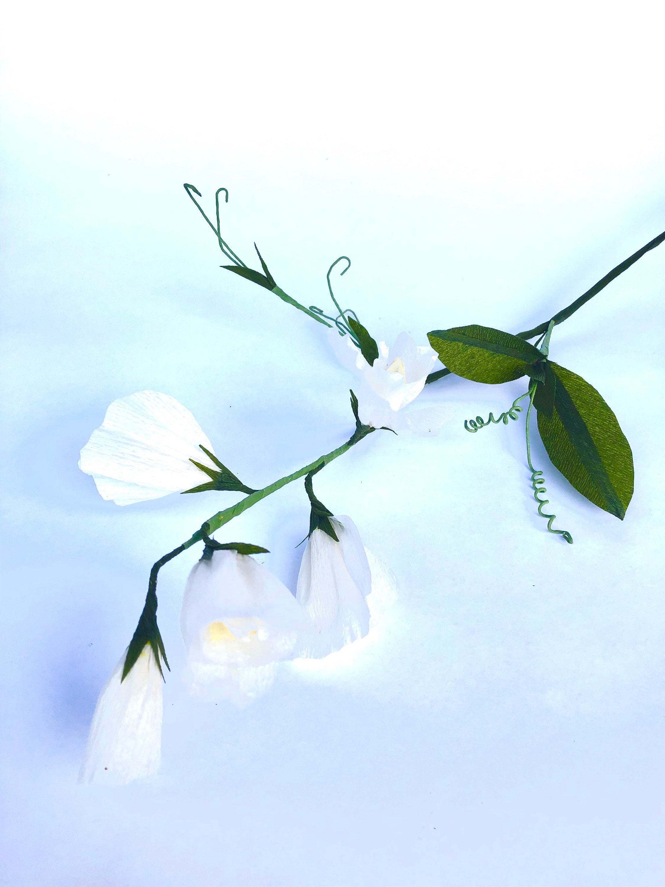 Handmade Crepe Paper Flowers- Sweet Peas- Paper Flowers for Weddings ...