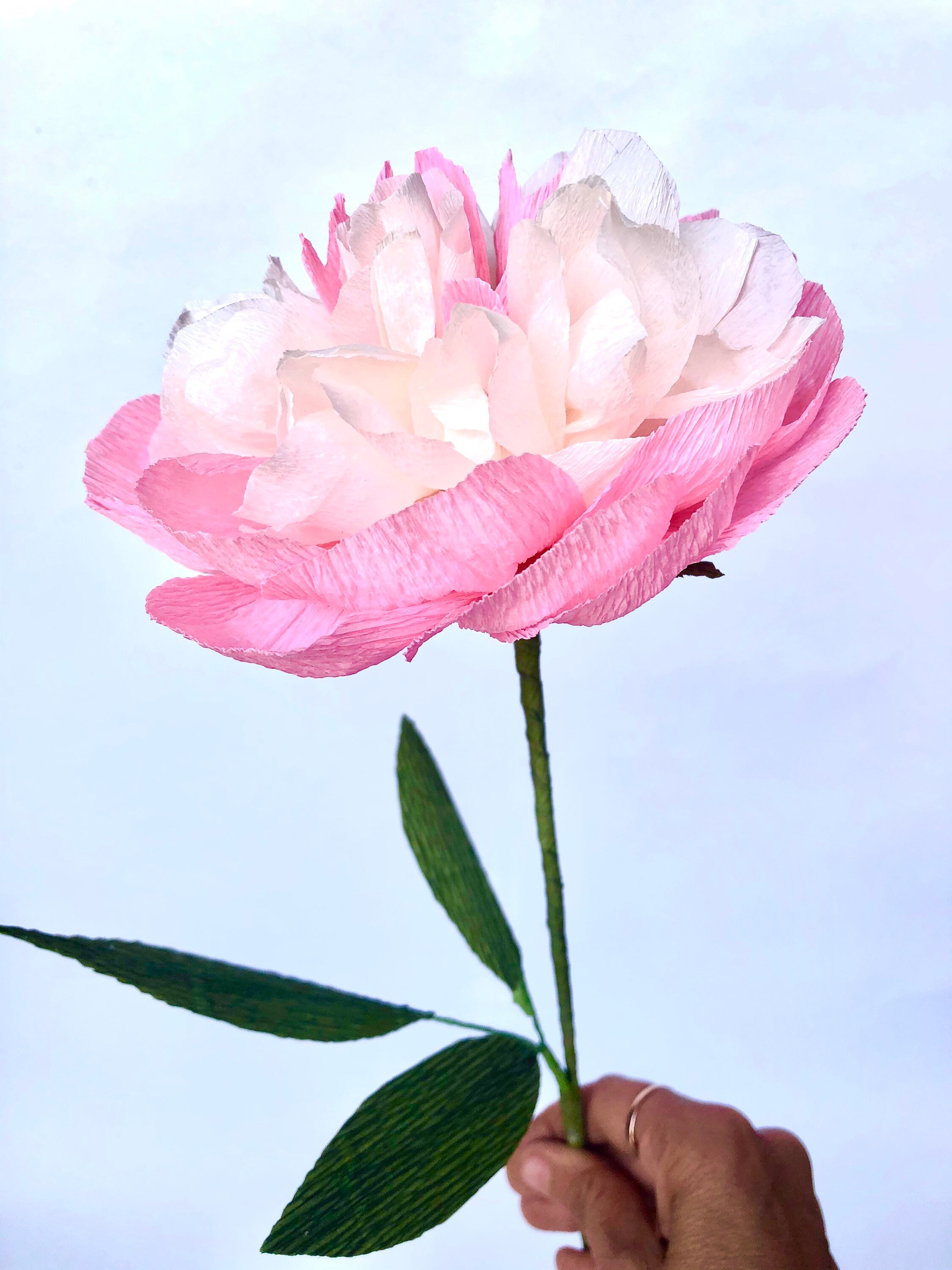 Handmade Crepe Paper Flowers Double Bomb Peonies Peonies - Etsy