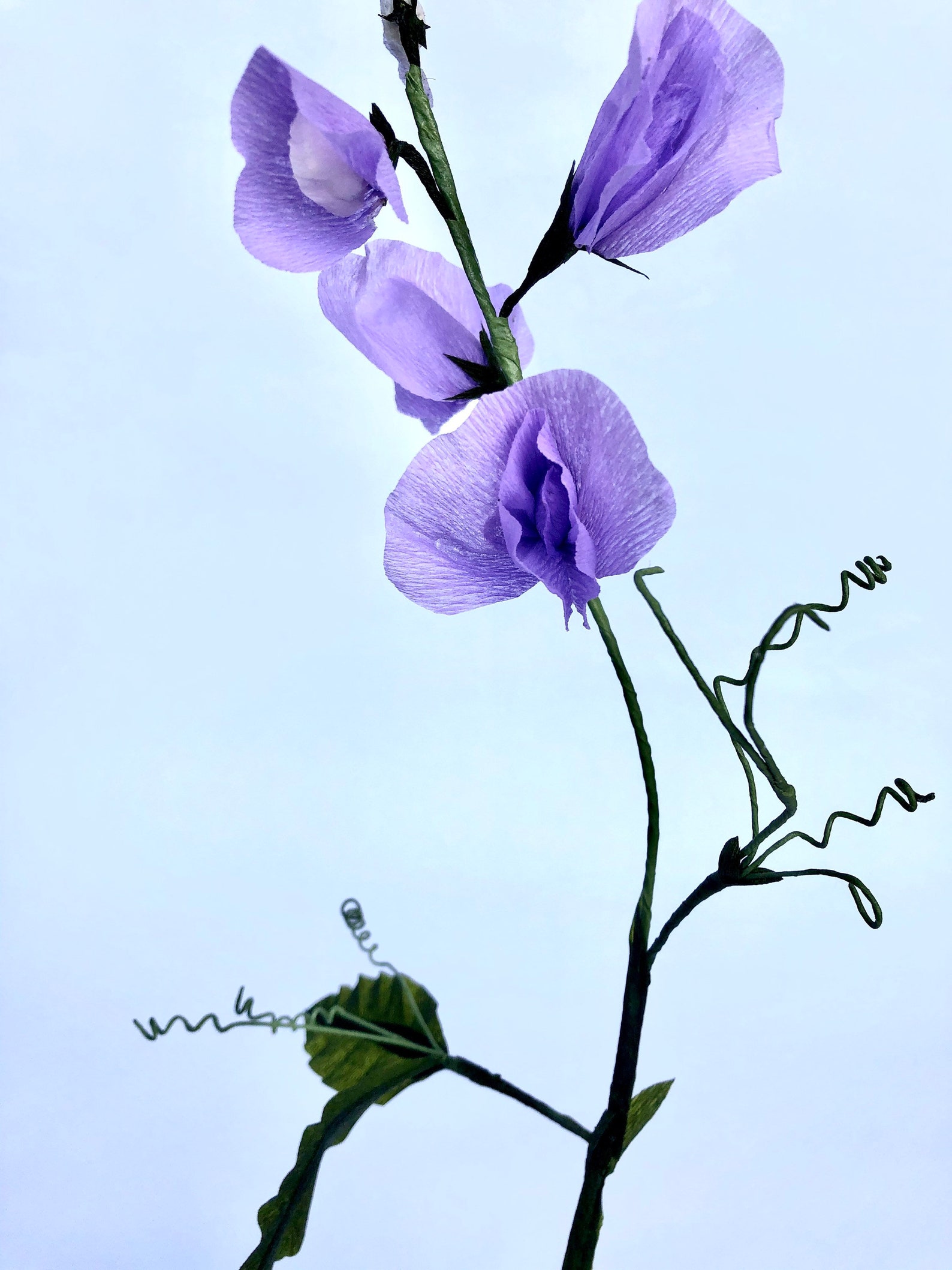 Handmade Crepe Paper Flowers Sweet Peas Paper Flowers for Weddings Faux ...