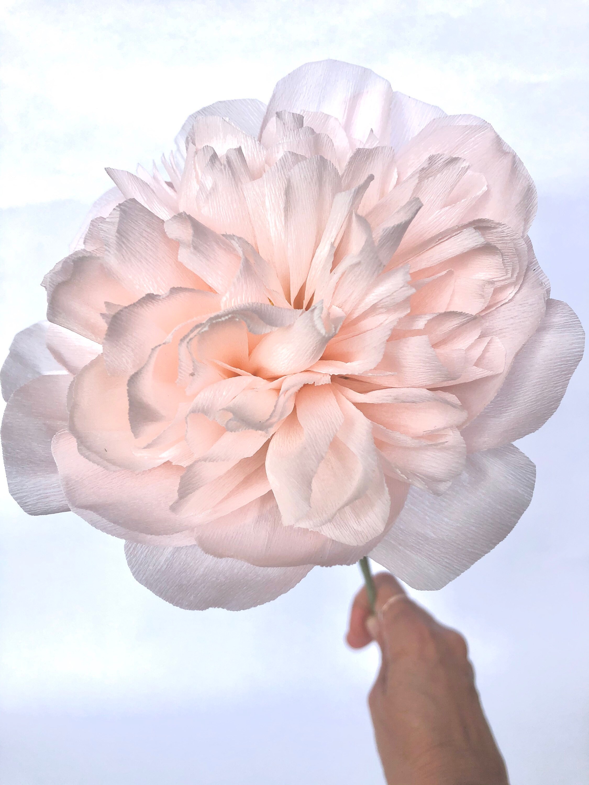 Handmade Crepe Paper Flowers Double Bomb Peonies Peonies - Etsy