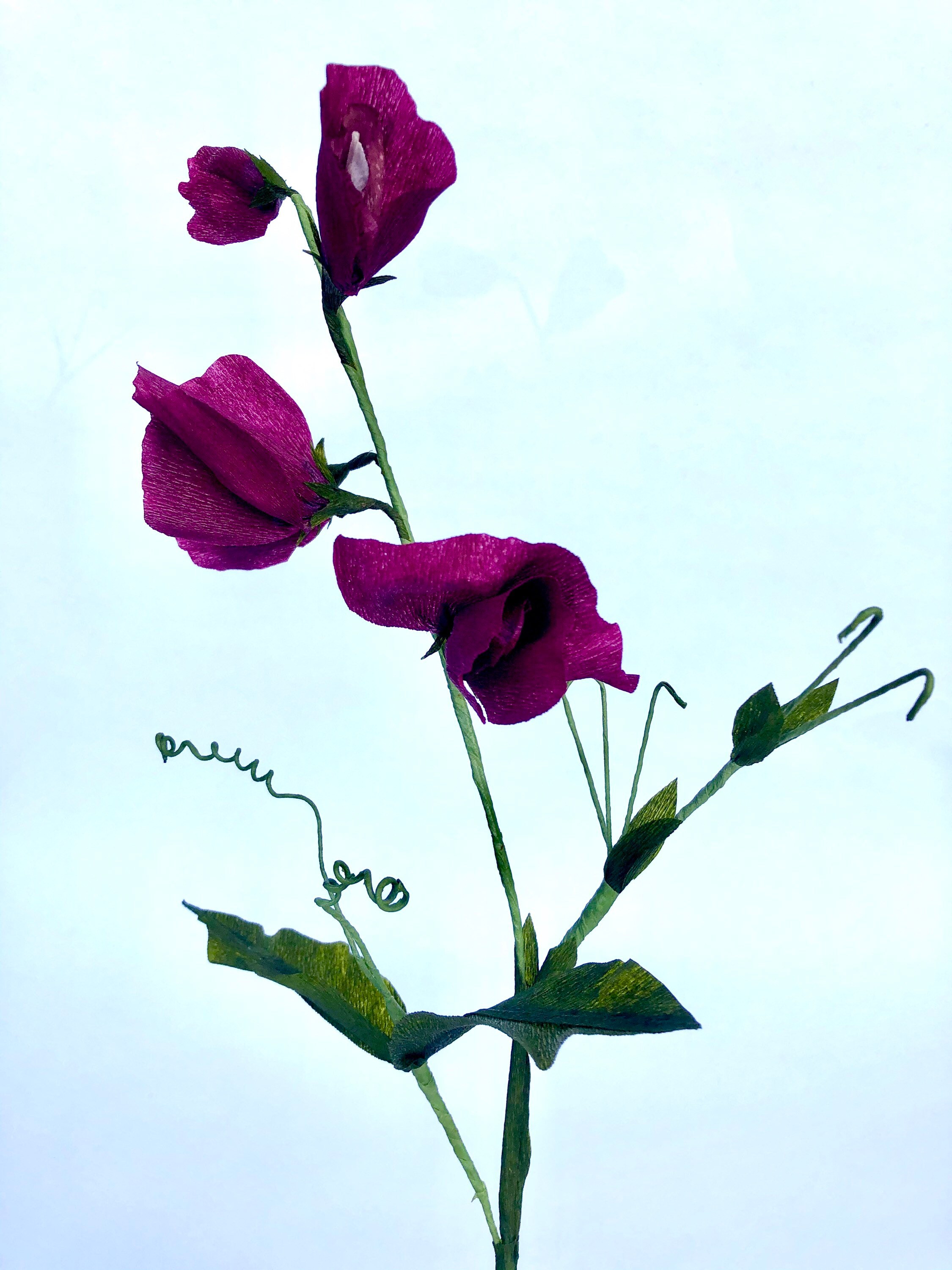 Handmade Crepe Paper Flowers Sweet Peas Paper Flowers for Weddings Faux ...