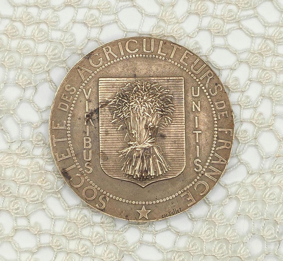 ART NOUVEAU BRONZE Table Medal, Collection, Decoration, Wheat, Oak Crown and Vine, Agricultural ...