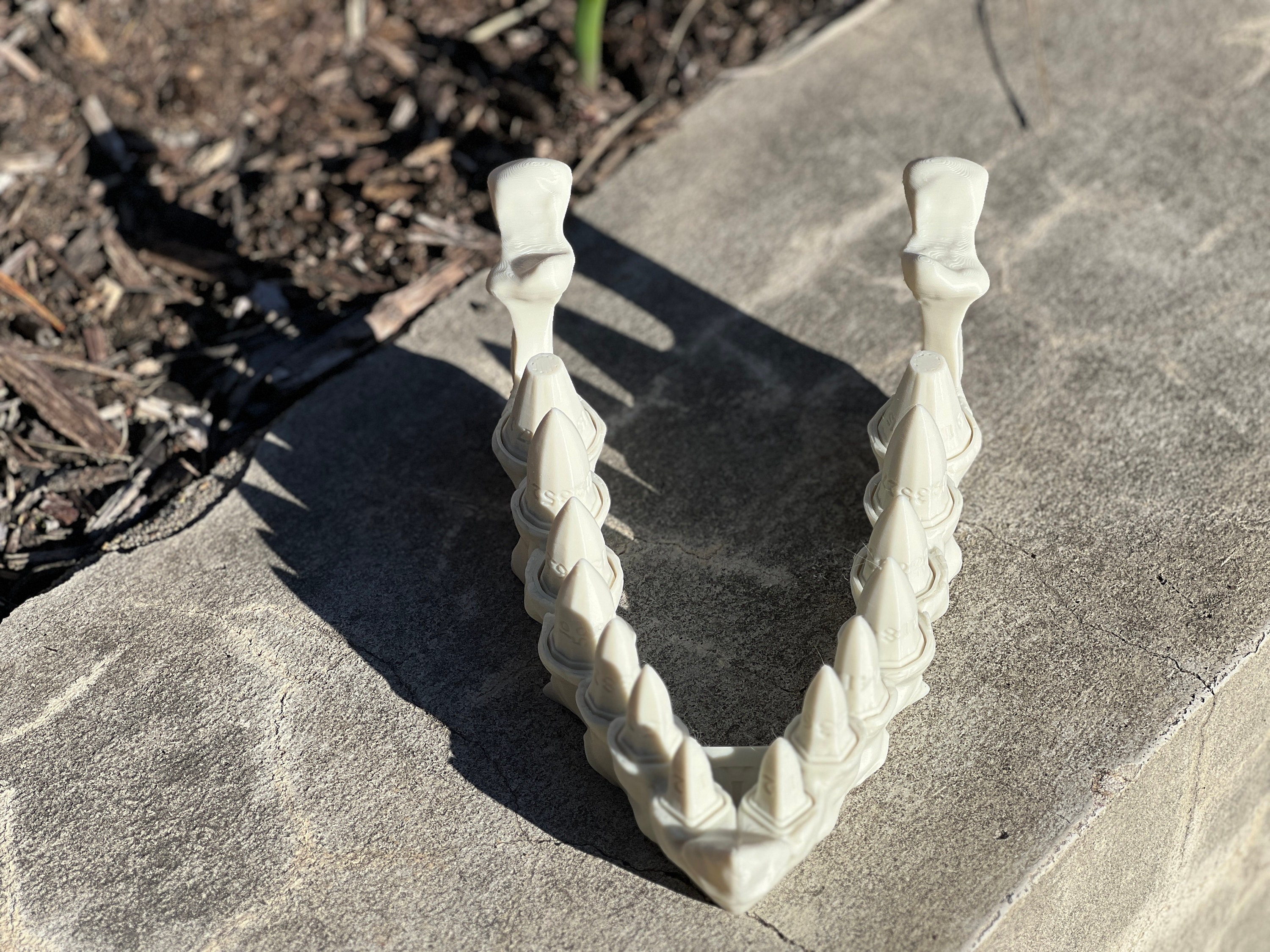 Dragon Teeth Dice Dragon Teeth Themed Dice and Jawbone - Etsy