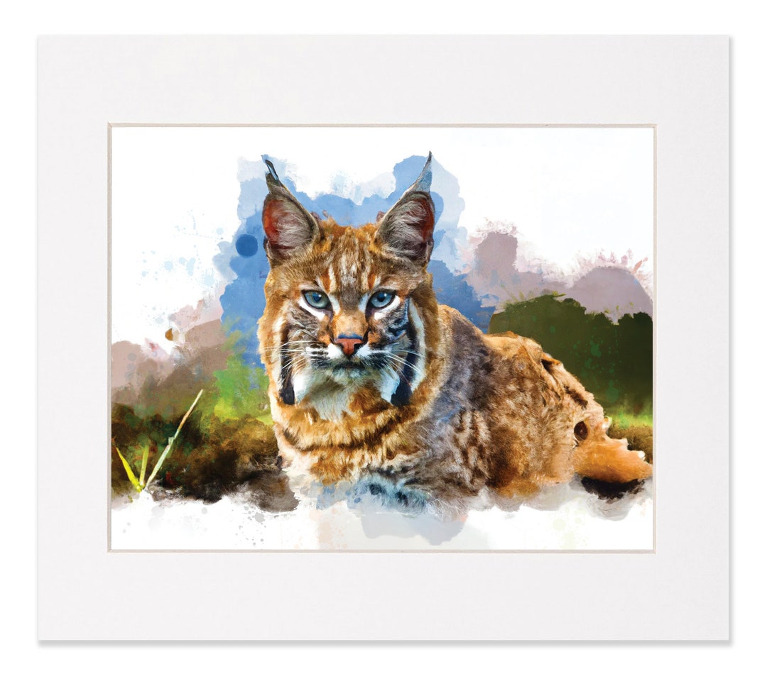 BOBCAT, Nature Art, Watercolor Style Art, Bobcat Print - Etsy