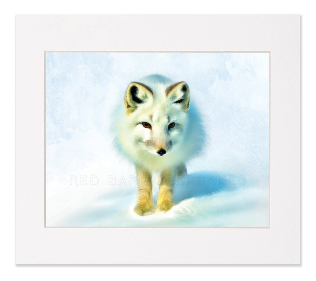 ARTIC FOX, Nature Art, Wildlife Art, Fox Print, Red Fox - Etsy