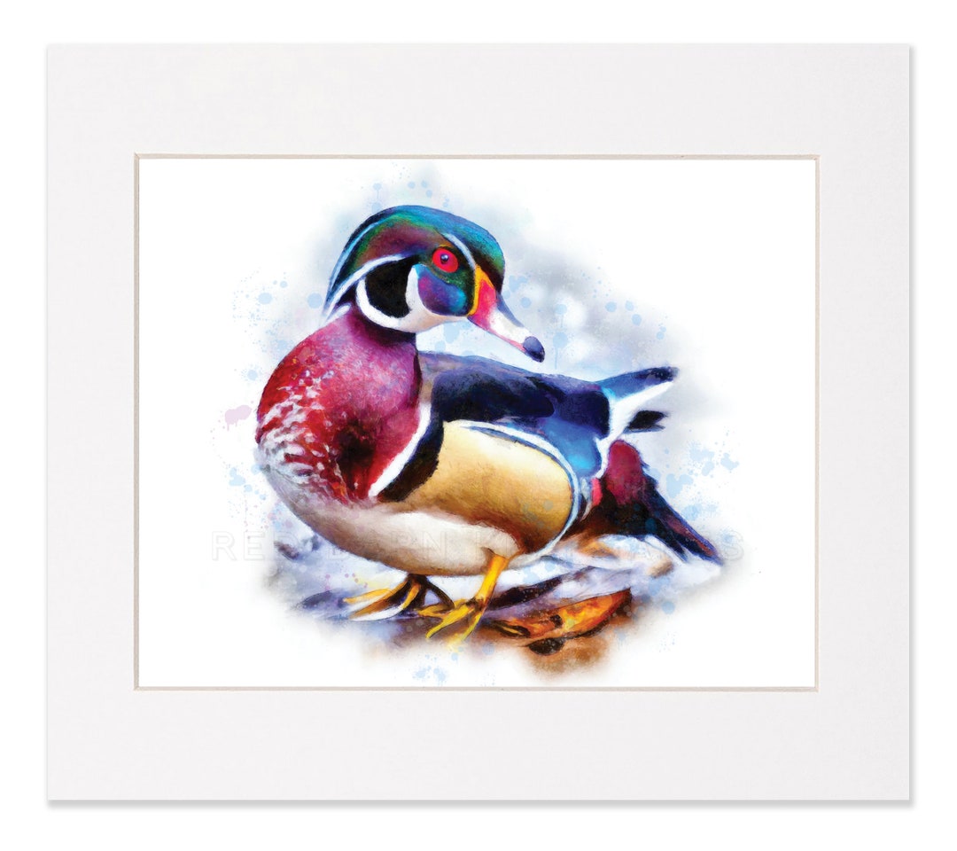 WOOD DUCK, Nature Art, Watercolor Style Art, Wildlife Art, Duck Print ...