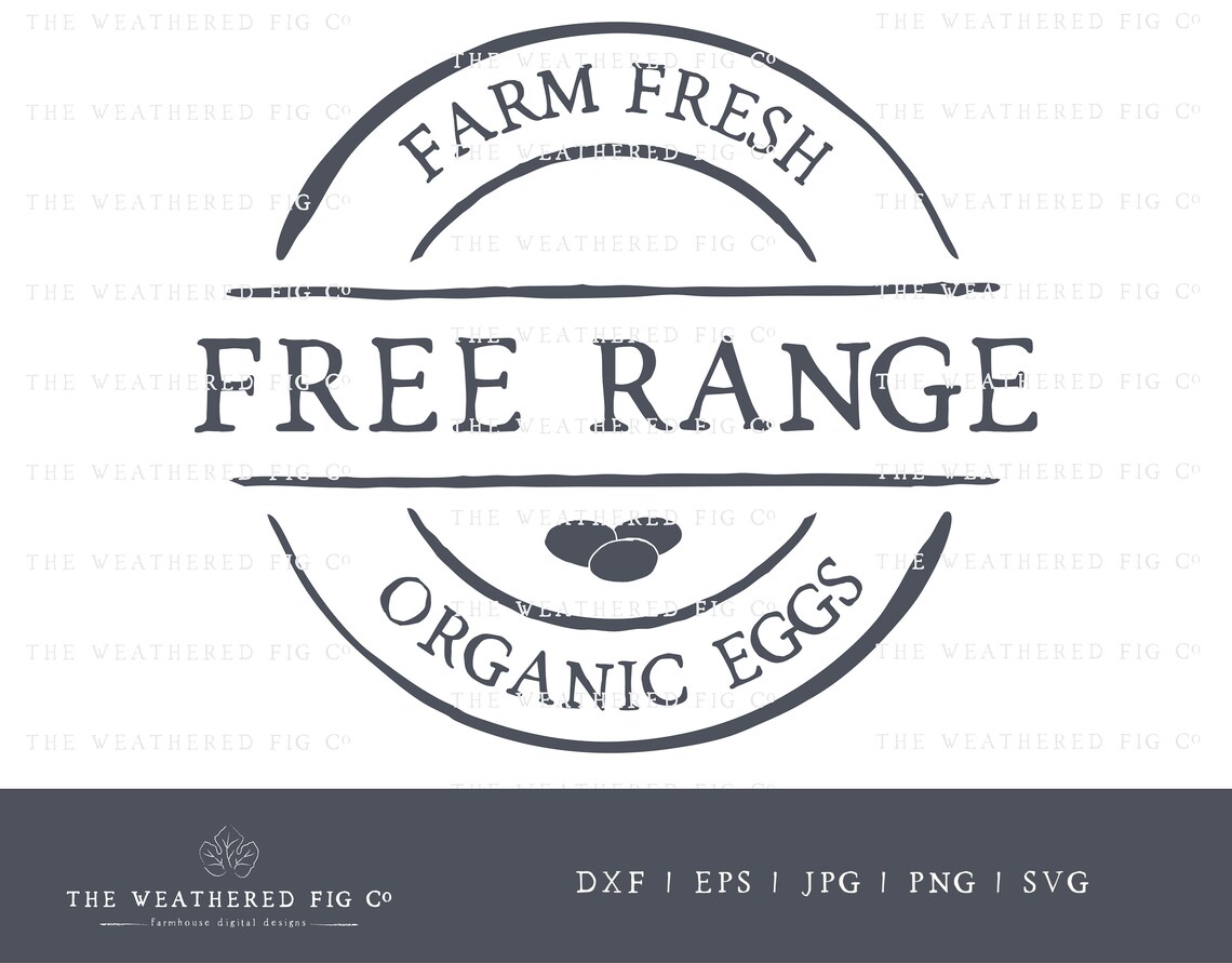 Farm Fresh Eggs SVG | Free Range Eggs SVG | Chicken Sign SVG | Modern ...