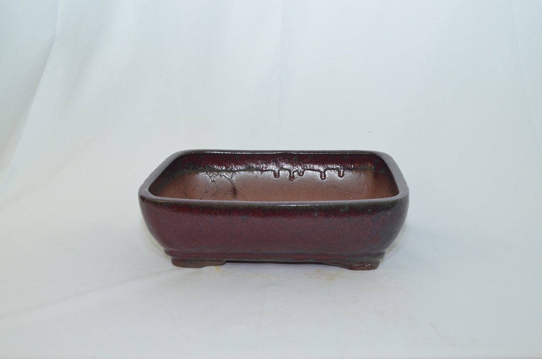 Bonsai Ceramic Pot 12", Rectangular Shape, Burgundy Color - Etsy