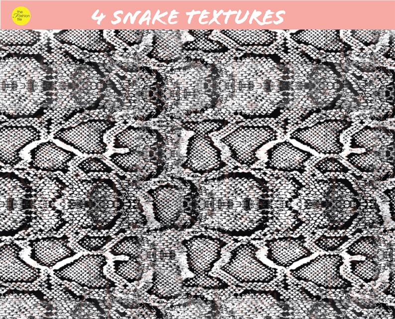 4 PROCREATE SNAKE TEXTURES Brush Reptile Leather Fashion - Etsy