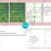 Shamrock Dream Planner Canva Template | Goal Planner, Editable Planner ...