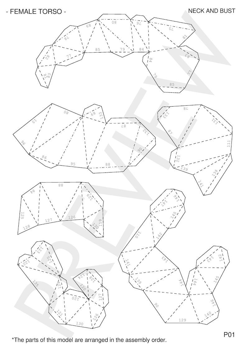 DIY 3D Female Torso Paper Model Low Poly Sculpture DIY Paper - Etsy UK