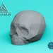 DIY 3D Human Skull Paper Model, Skull Paper 3D, Low Poly Human Skull ...