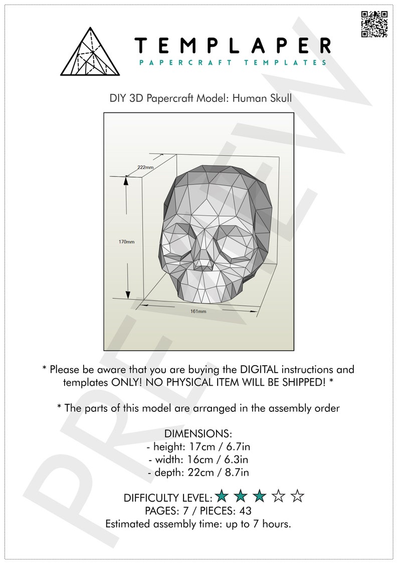 DIY 3D Human Skull Paper Model, Skull Paper 3D, Low Poly Human Skull ...