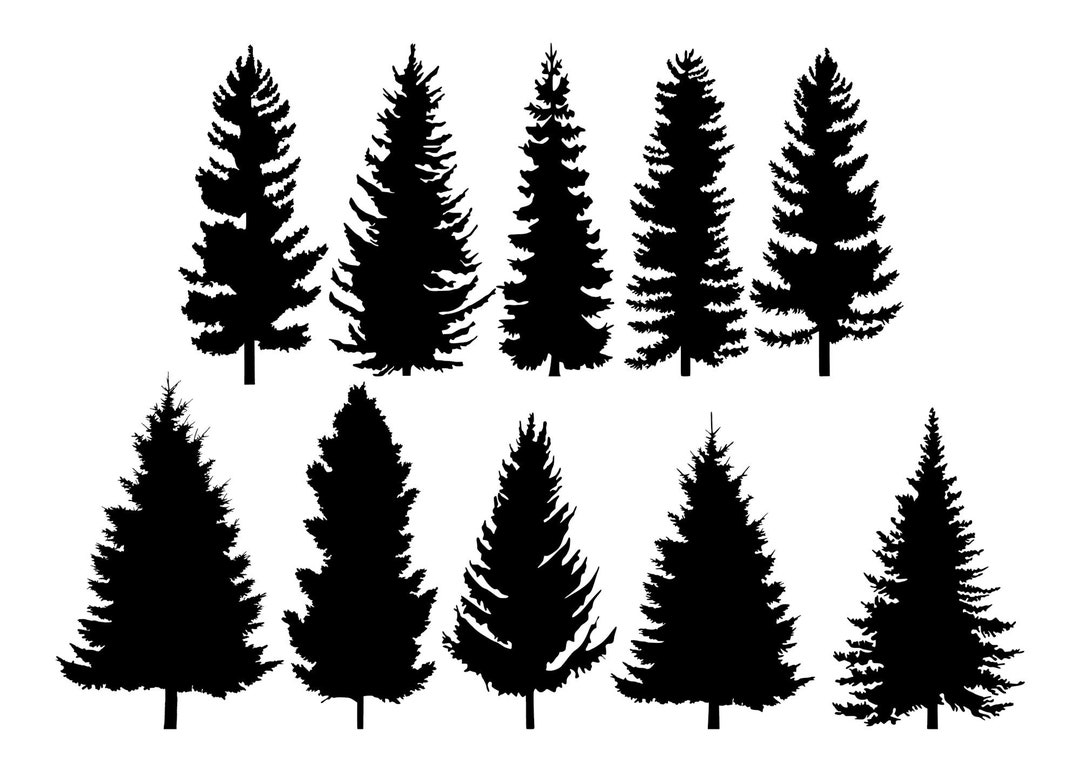 Pine Tree Silhouette Bundle of 10 - SVG and Png(transparent Background ...