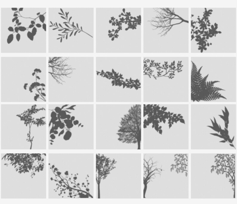 Tree Branch Shadow Overlays Plant Shadows PNG Photo - Etsy