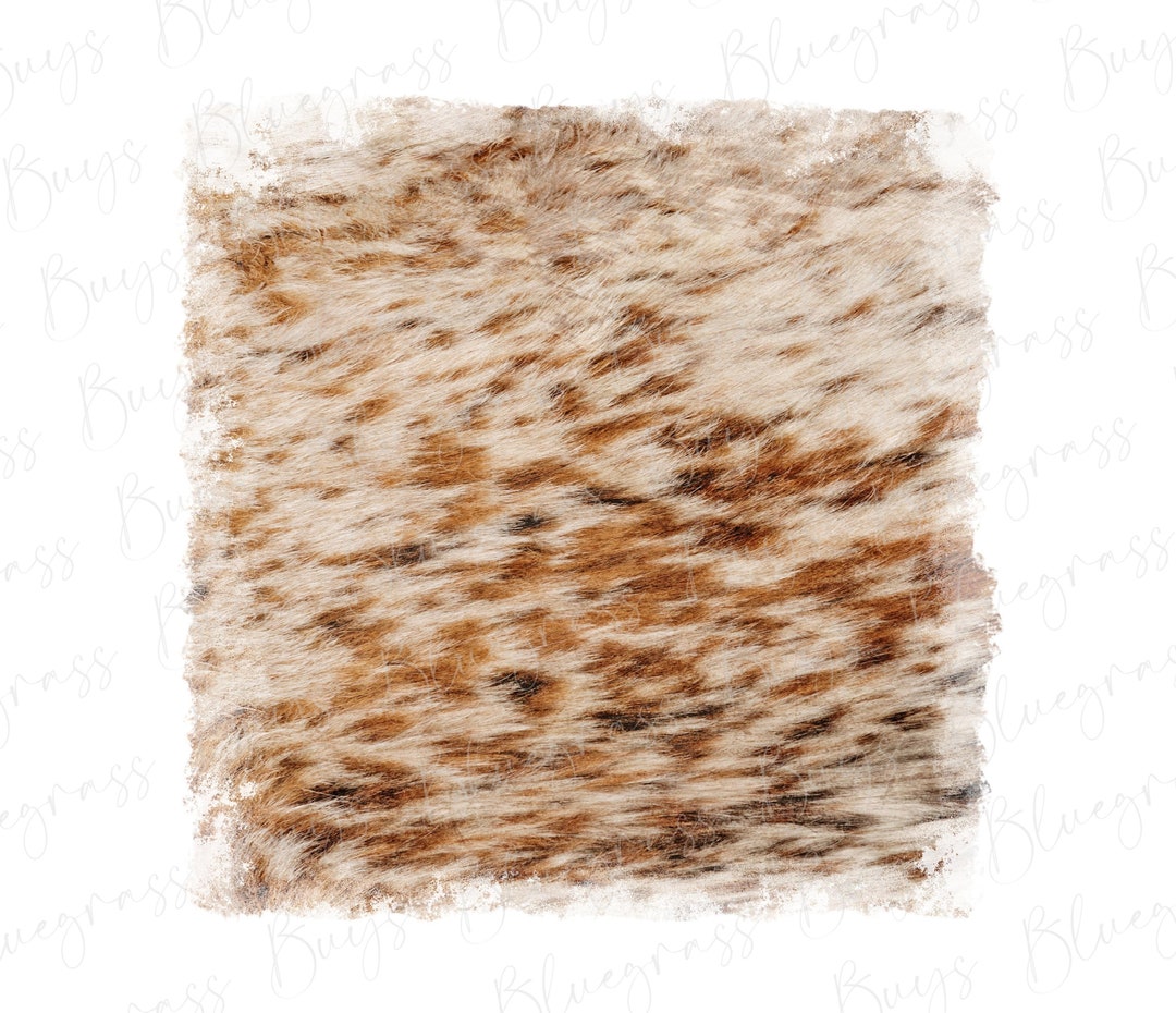 Distressed Cowhide Background PNG, Grunge Cow Print Background ...